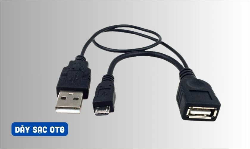 Các loại dây sạc điện thoại trên thị trường hiện nay và gợi ý một số ...