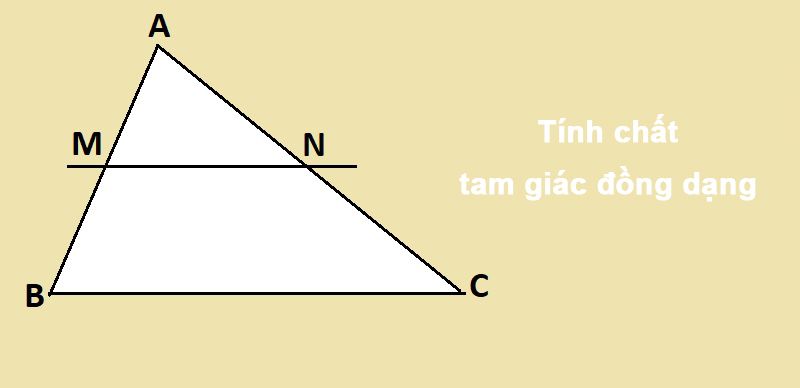 Tam giác đồng dạng là gì? Tiêu chí xác định, cách nhận biết và ứng dụng