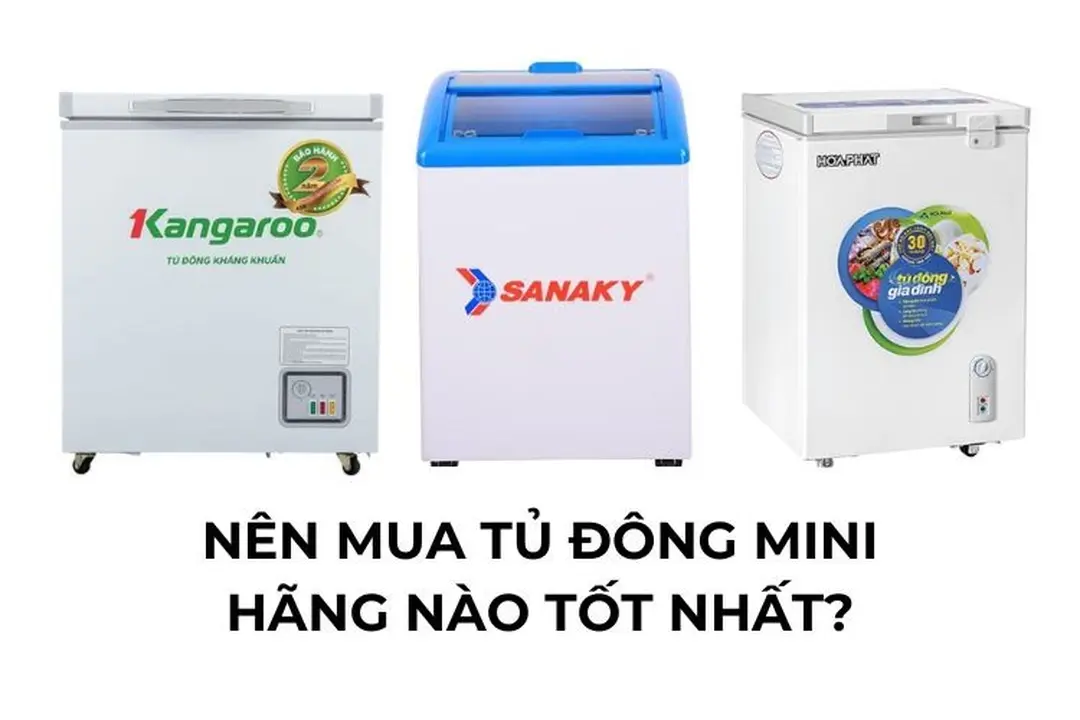 Nên mua tủ đông mini hãng nào tốt? Top 3 tủ đông mini chất lượng