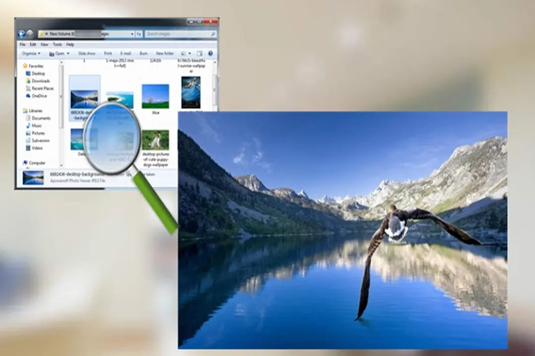 Windows Photo Viewer - Những điều về công cụ xem ảnh đơn giản có thể ...
