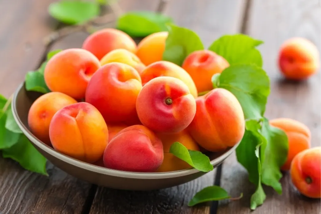 Apricot là quả gì? Bật mí lợi ích và giá trị dinh dưỡng