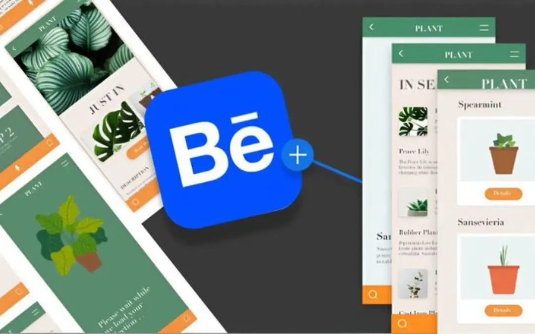 Behance là gì? Hướng dẫn cách tạo portfolio trên behance