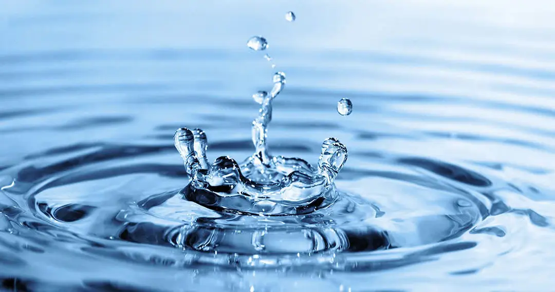 Ion âm và ion Canxi Aragonit trong nước: Sự kết hợp hoàn hảo cho việc ...