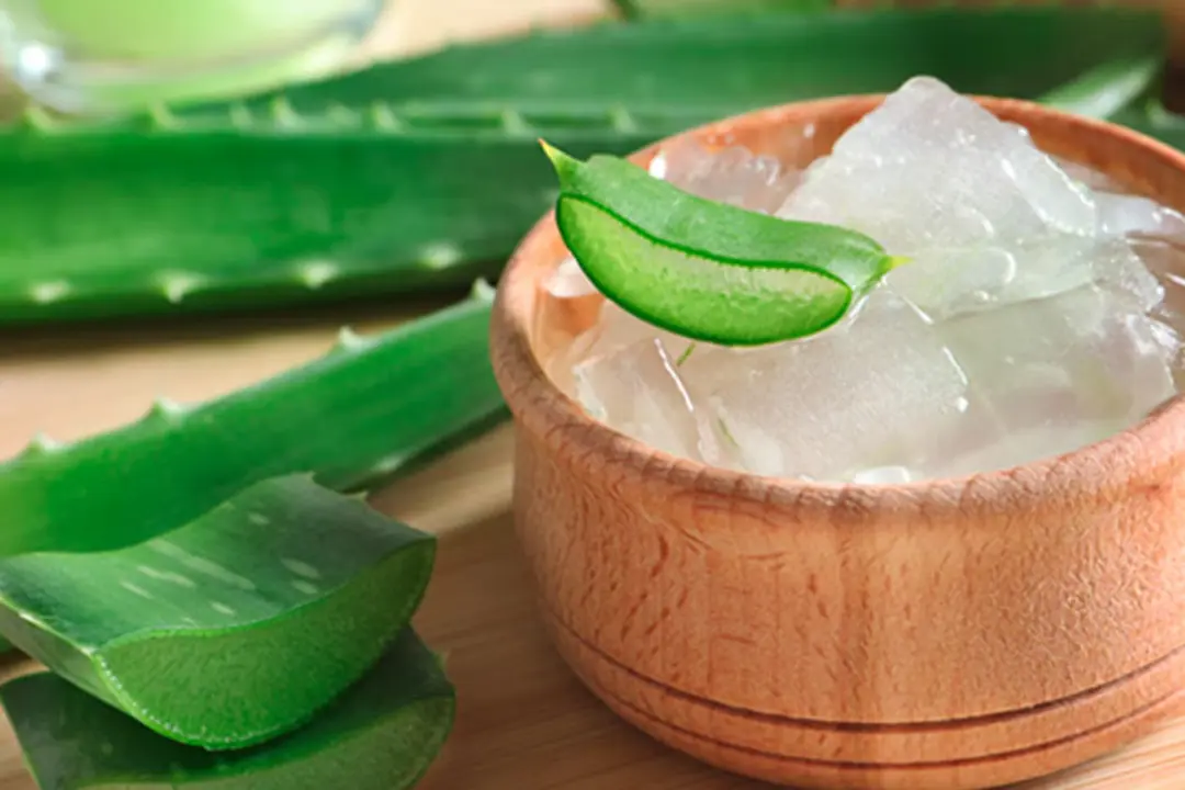 Cách làm rau câu nha đam ngon mát, giải nhiệt mùa hè và làm đẹp da