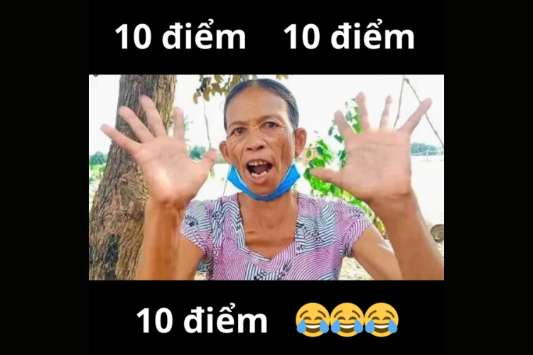 Mọi điều về “10 điểm meme” và tổng hợp meme 10 điểm hài hước