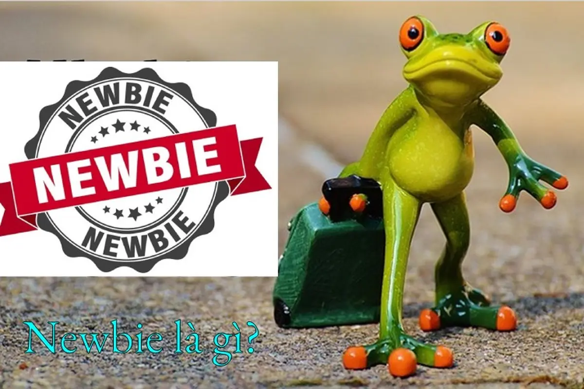 Newbie là gì - Ý nghĩa của từ newbie trong một số lĩnh vực