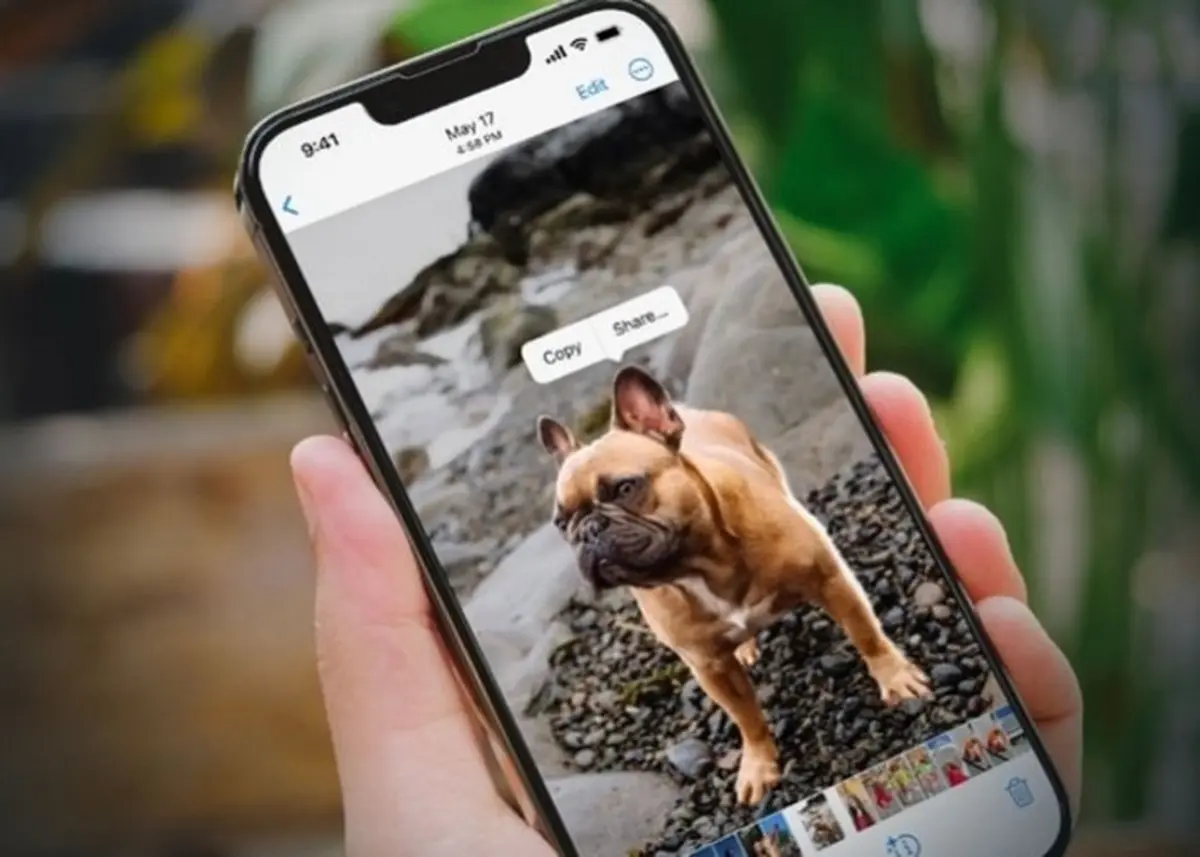 Top 10 phần mềm ghép ảnh trên iPhone chuyên nghiệp và phổ biến