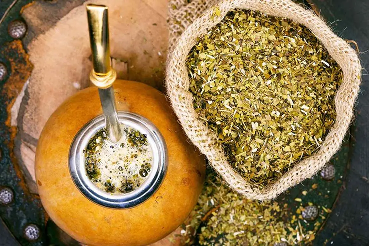 Trà mate có công dụng gì? Cách pha trà mate chuẩn không bị đắng