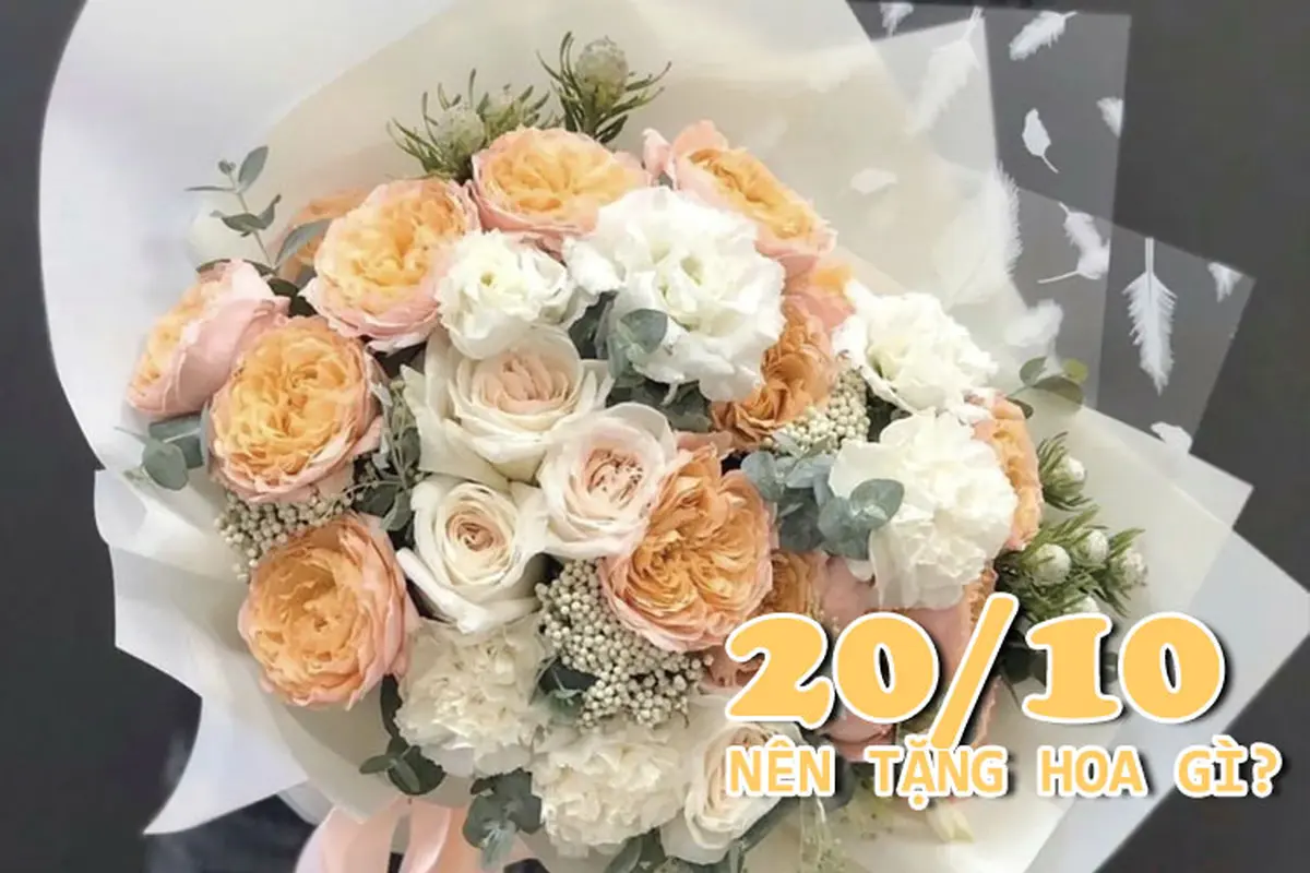 20/10 nên tặng hoa gì? Top 10 loài hoa đẹp, ý nghĩa cho chị em