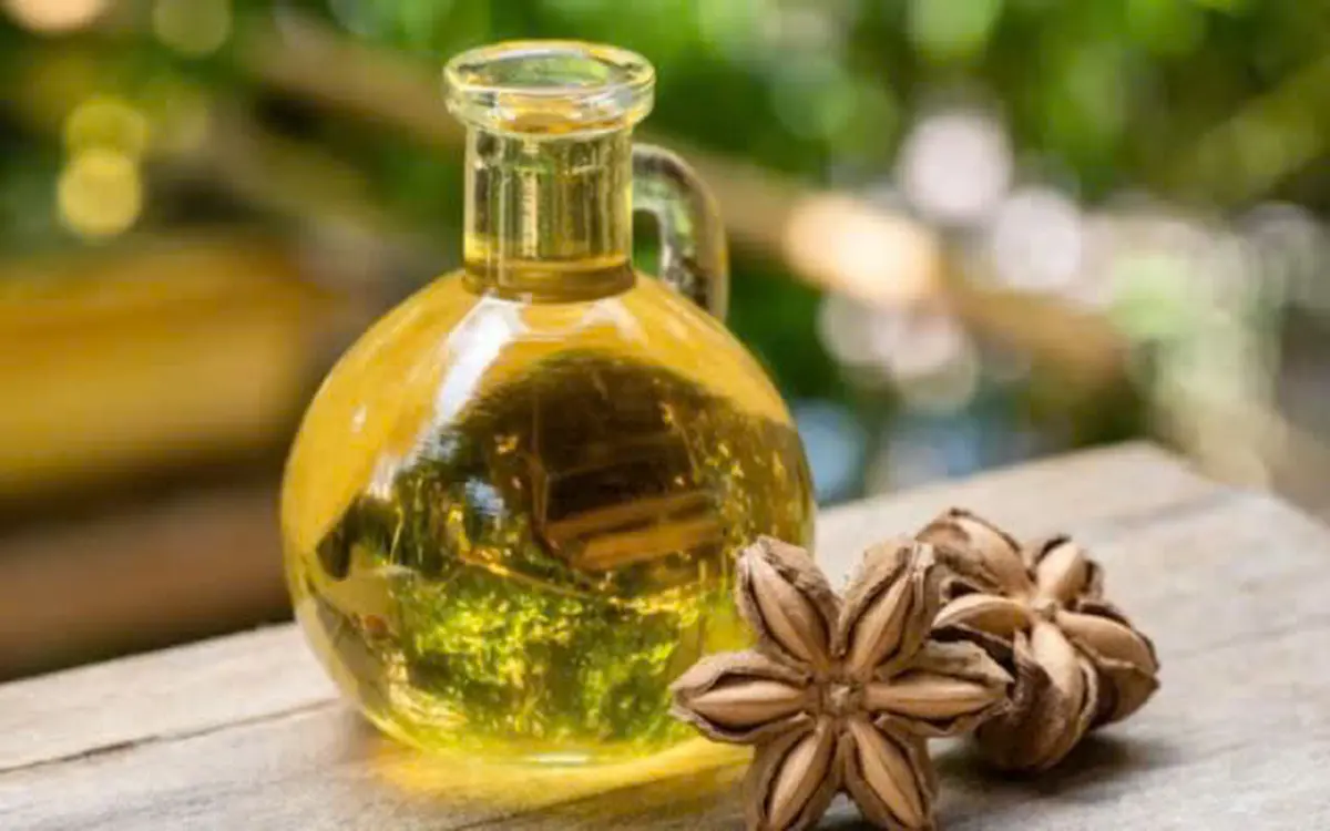 Dầu Sachi là gì? Chi tiết top 10 công dụng tuyệt vời của dầu Sachi mang ...