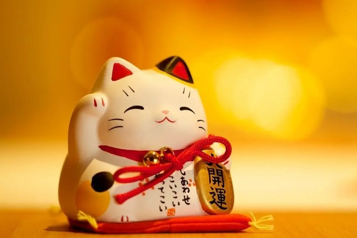 Hướng dẫn cách đặt mèo thần tài đúng cách cho gia chủ may mắn, vượng ...