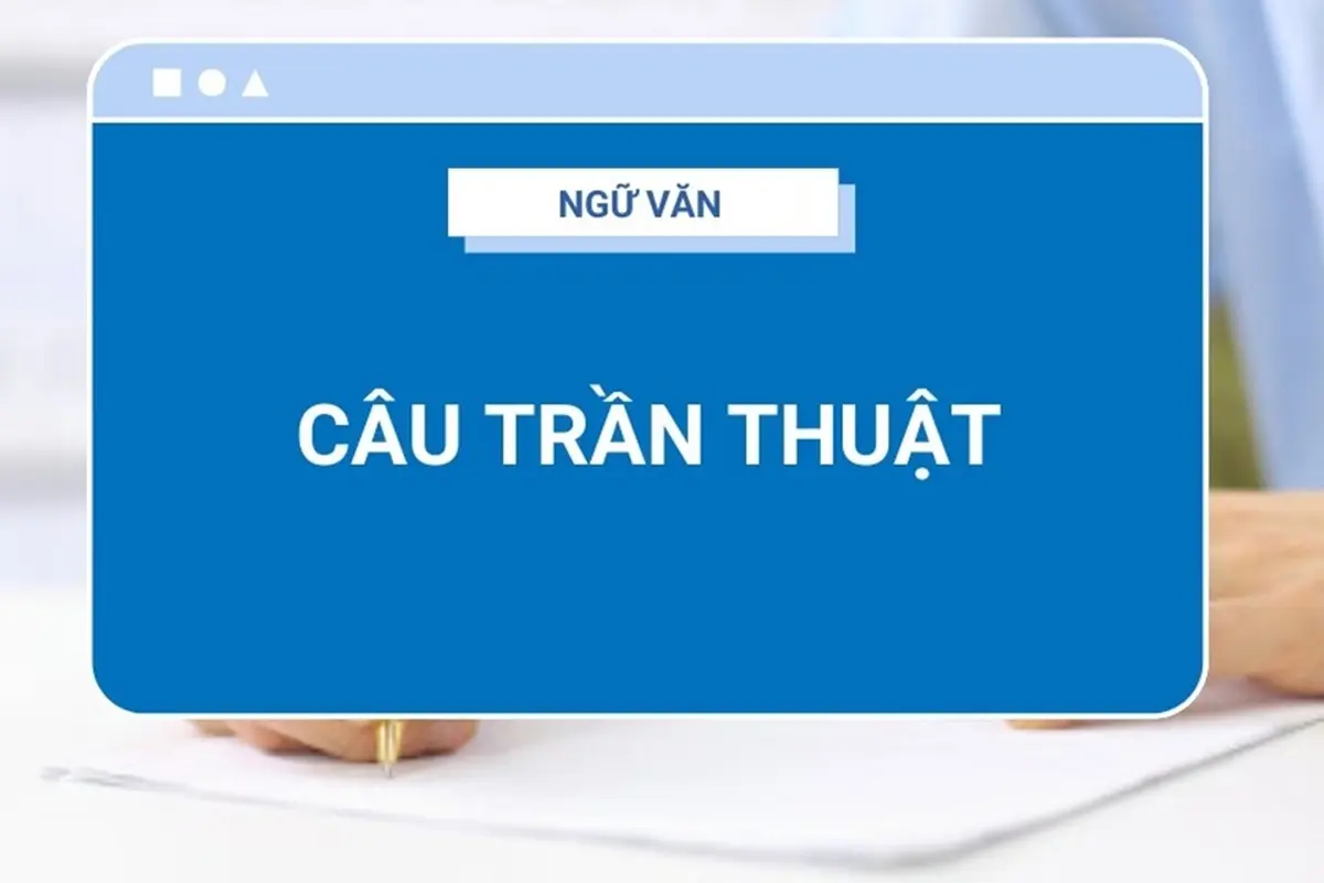 Câu trần thuật là gì? Cách đặt, nhận biết và vai trò trong ngôn ngữ giáo dục