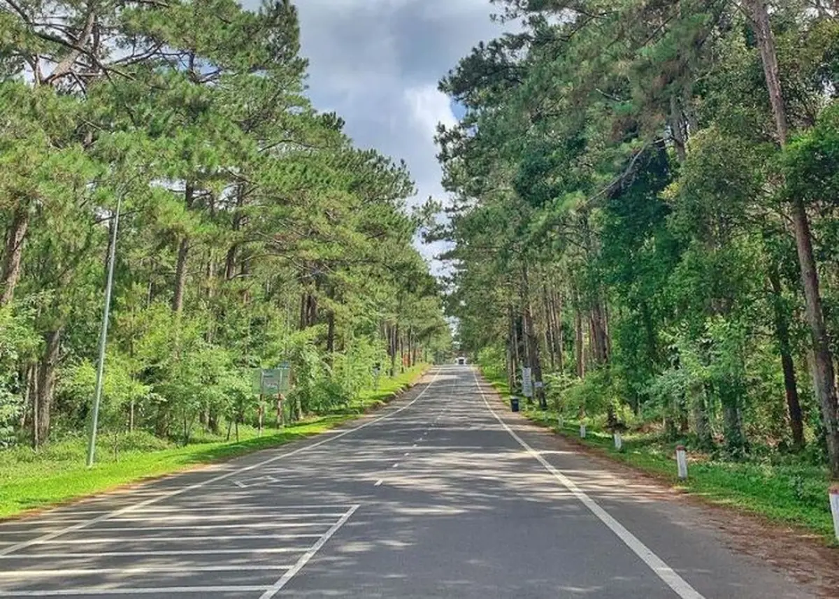 Măng Đen ở đâu? Mách bạn tất tần tật những kinh nghiệm ăn chơi