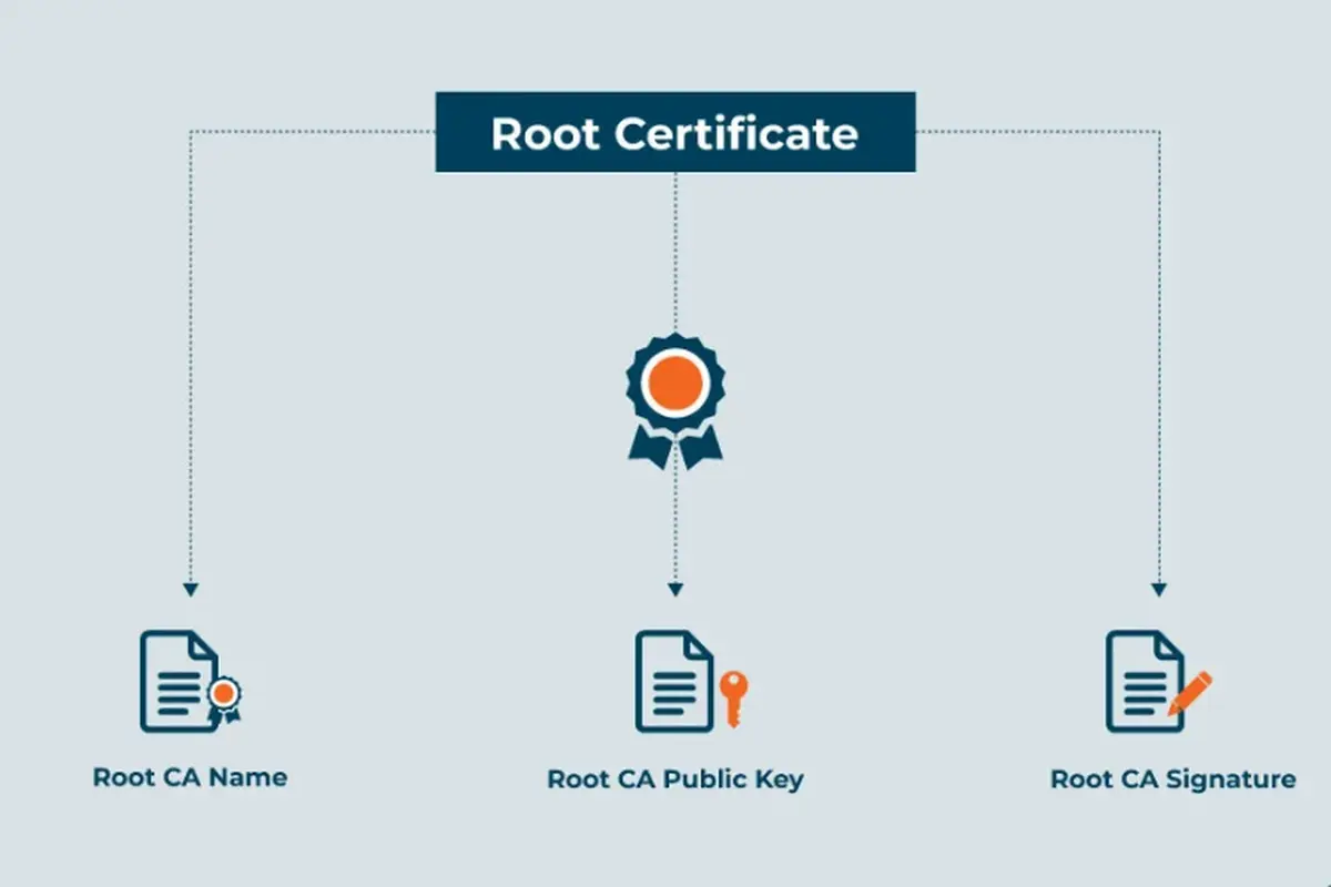 Root Certificate là gì? Chức năng và vai trò của Root Certificate