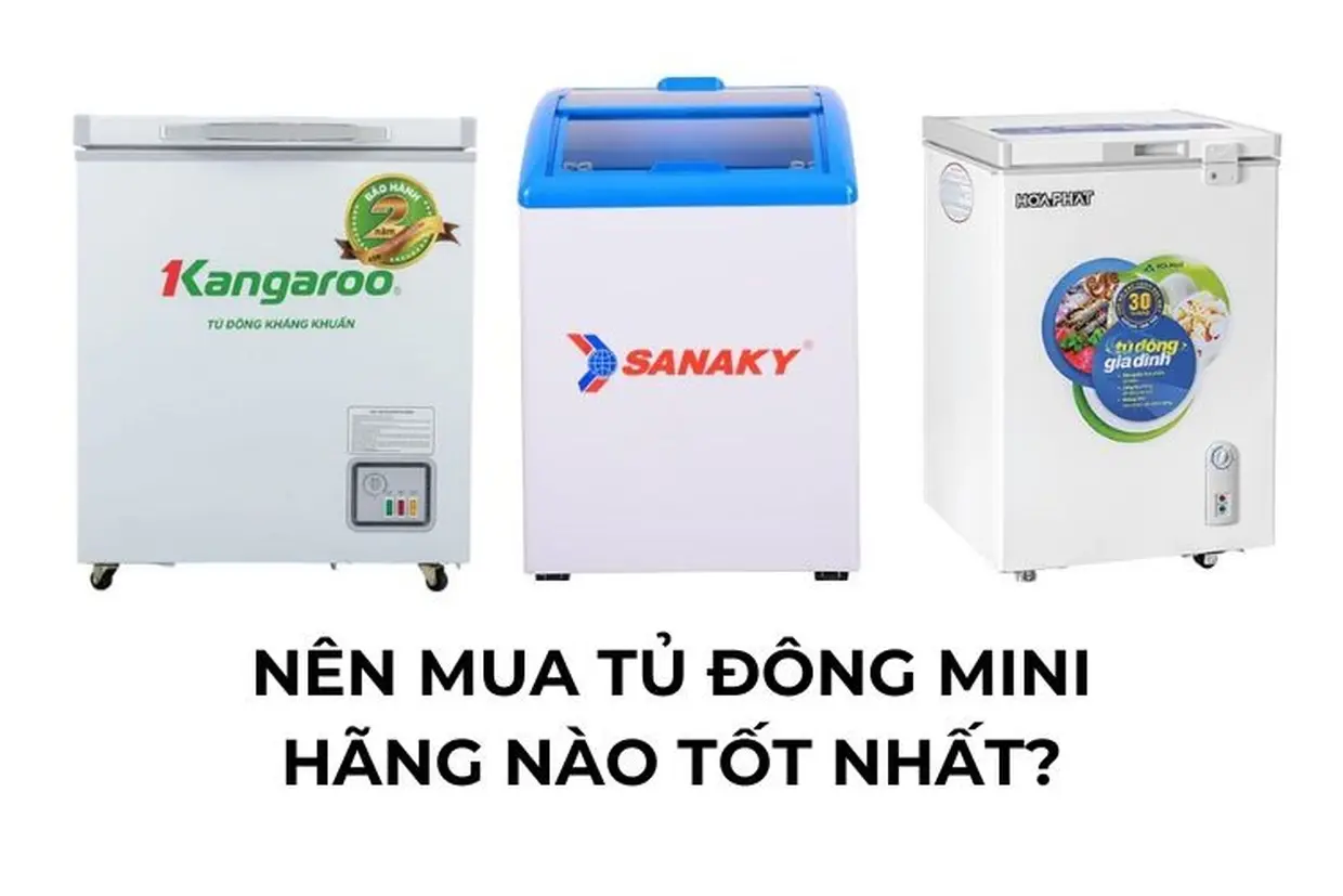Nên mua tủ đông mini hãng nào tốt? Top 3 tủ đông mini chất lượng