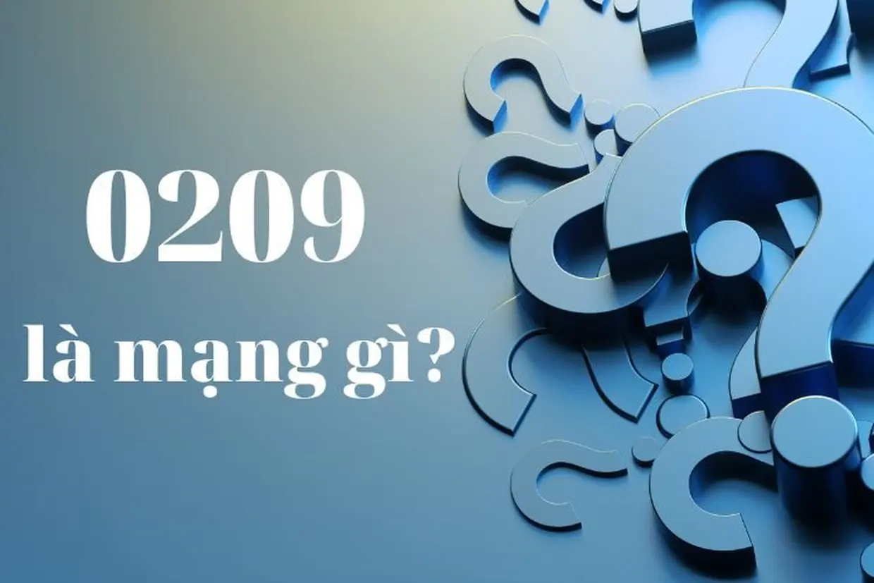 0209 là mạng gì? Khám phá đầu số 0209