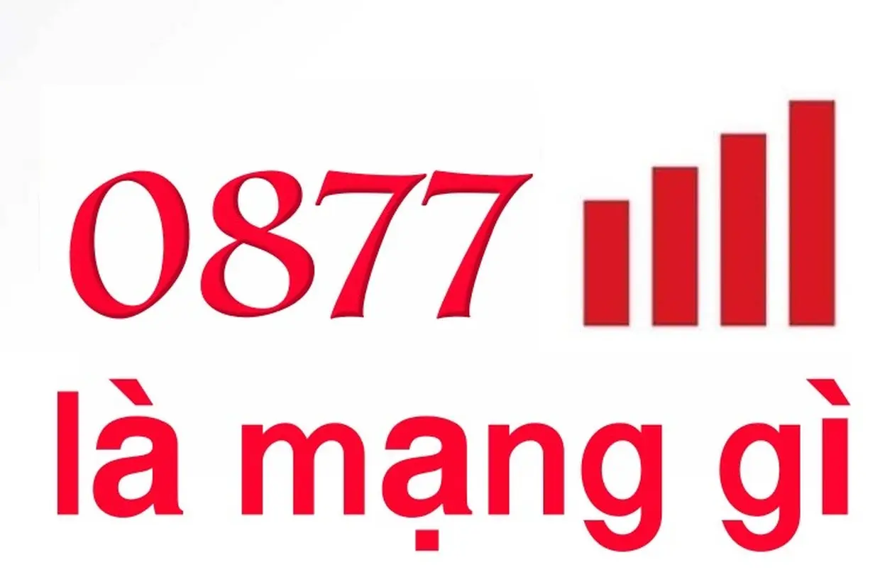 0877 là mạng gì? Ý nghĩa phong thủy của đầu số 0877