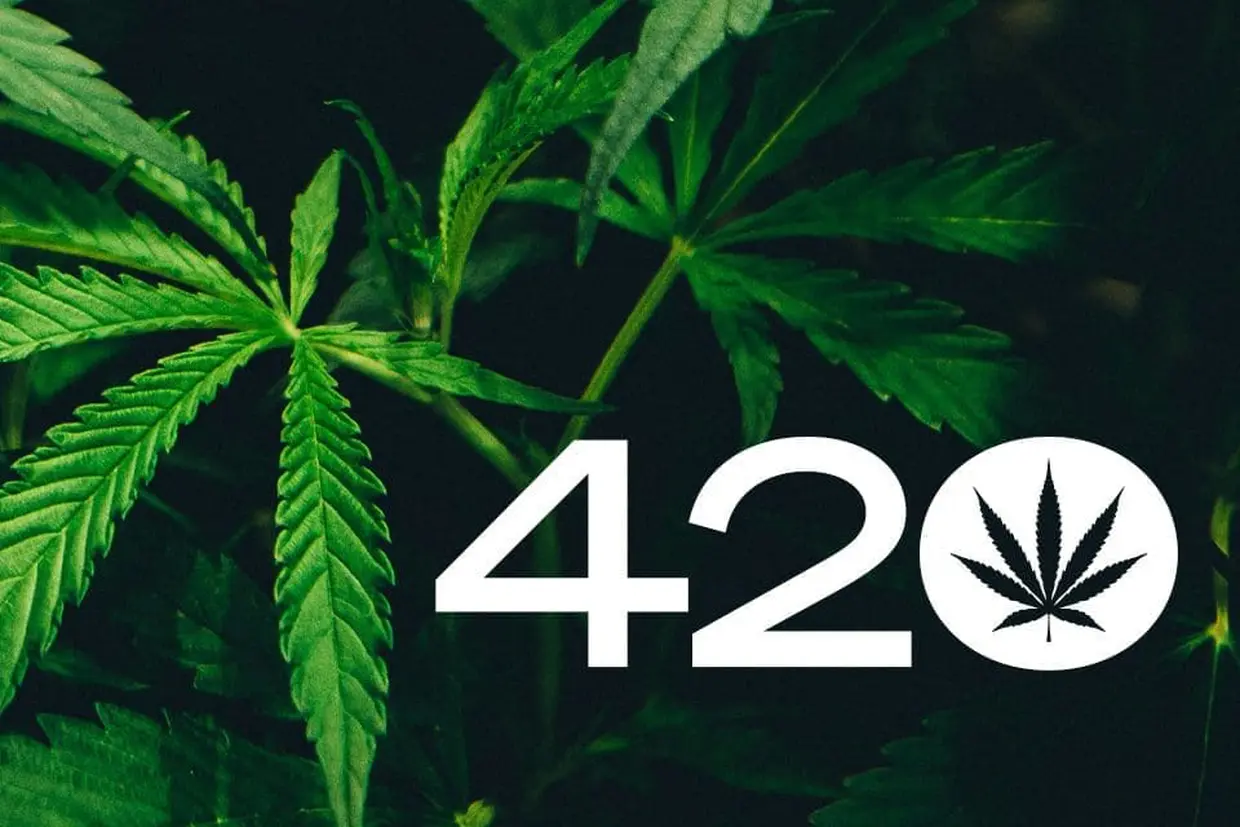 420 nghĩa là gì? Nguồn gốc và ý nghĩa đặc biệt của con số này trong văn ...