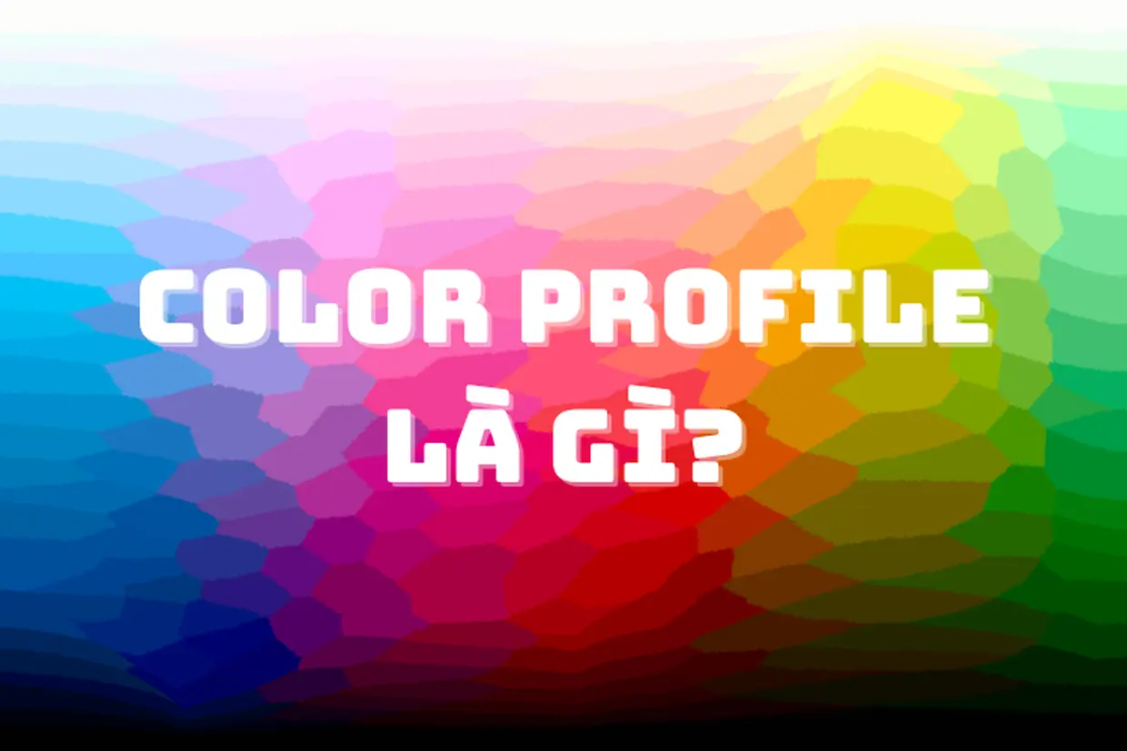 Color Profile là gì? Đừng bỏ qua bài viết này nếu bạn muốn ảnh in ra ...