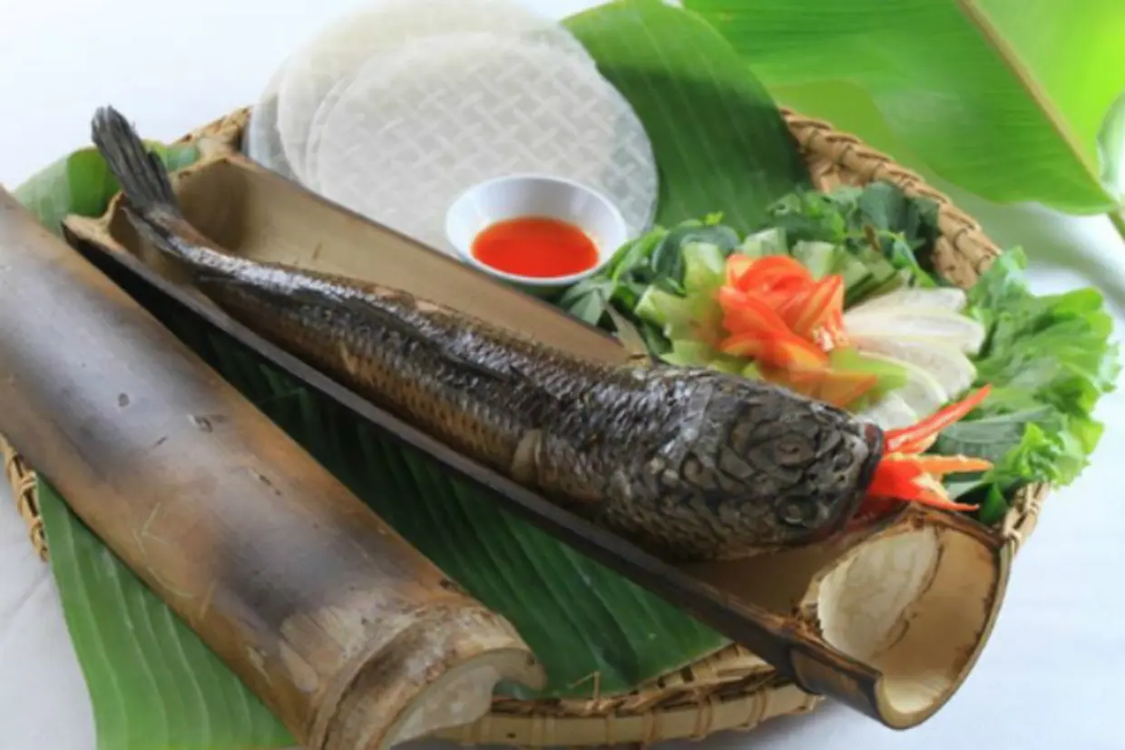 Công thức cá lóc nướng ống tre thơm ngon, bổ dưỡng thay đổi khẩu vị cho ...