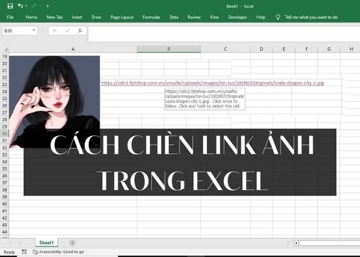 Hướng dẫn cách chèn link ảnh trong Excel đơn giản, chính xác
