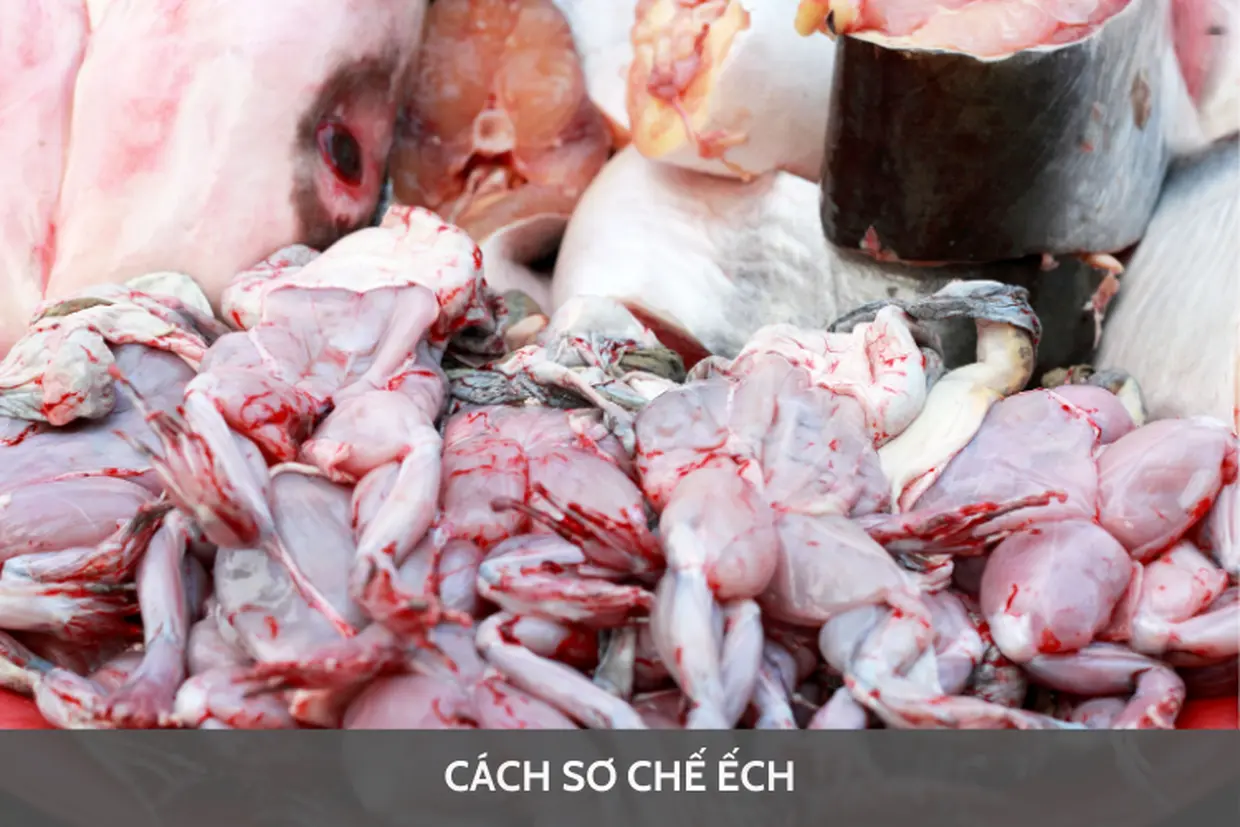 Chi tiết cách sơ chế ếch sạch, nhanh chóng giúp món ăn thêm ngon