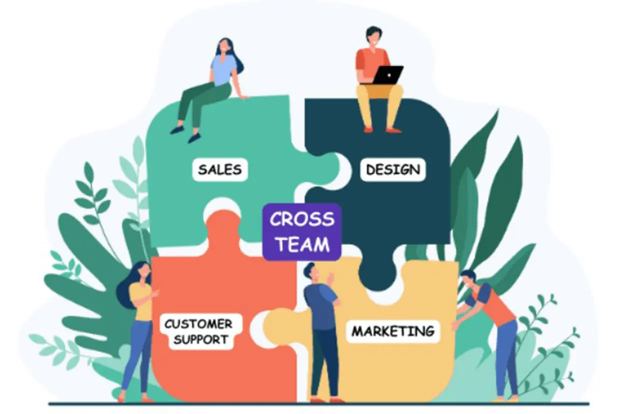 Cross-functional team là gì? Cách xây dựng nhóm đa chức năng giúp tăng ...