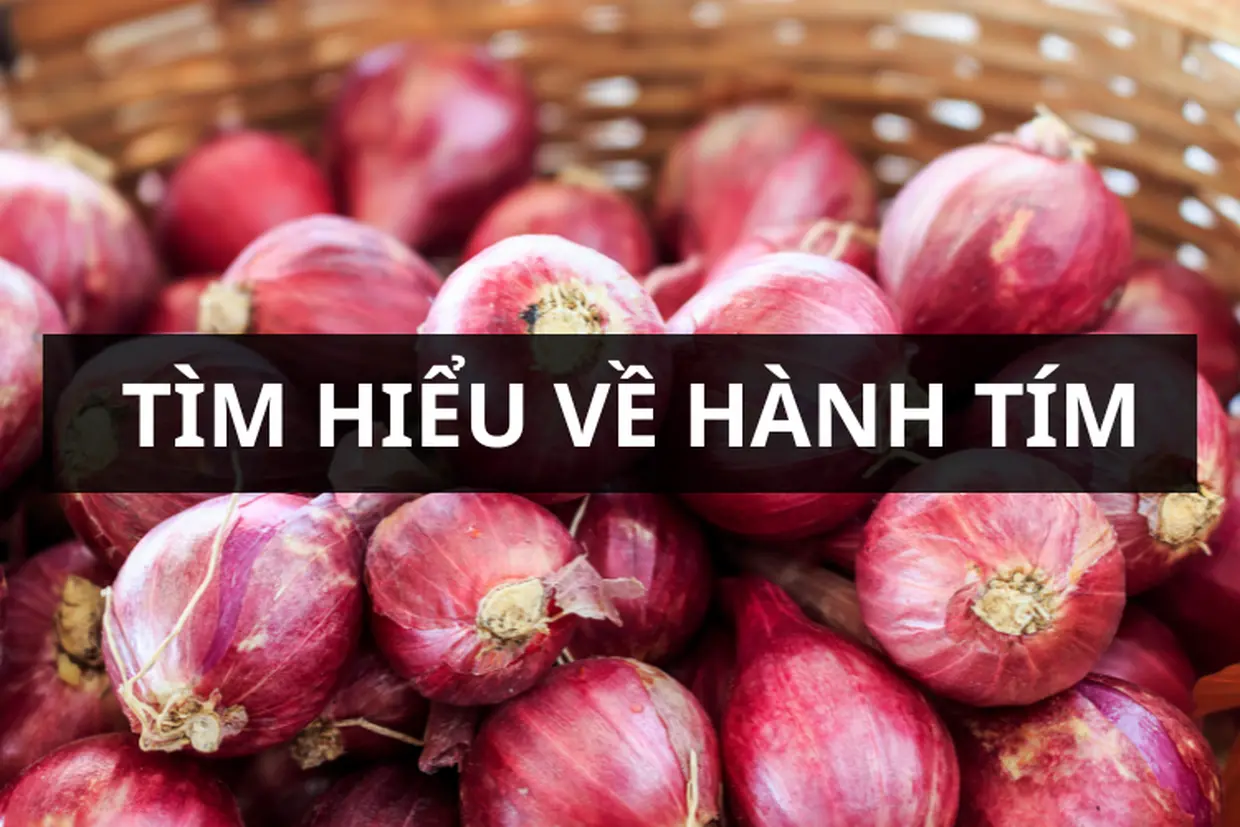 Hành tím: Những lợi ích cho sức khỏe và các công thức nấu ăn ngon
