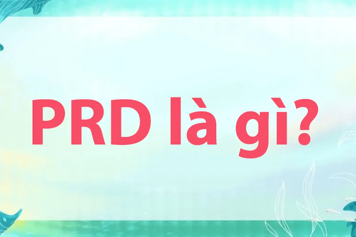 PRD là gì? Tầm quan trọng của PRD trong phát triển sản phẩm
