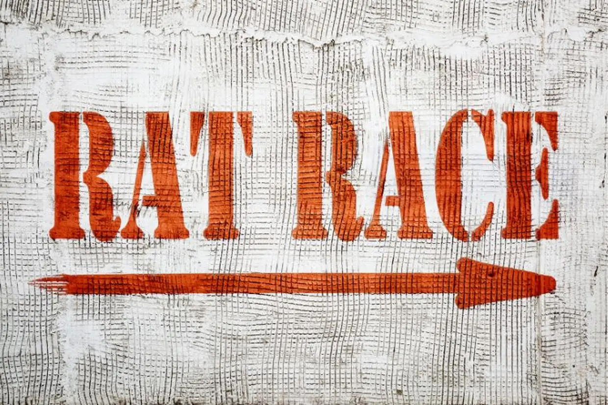 Rat race là gì? Dấu hiệu để biết bạn đang mắc kẹt trong rat race