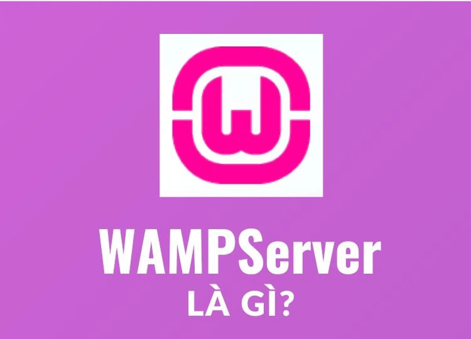 Wampserver là gì? Hướng dẫn cài đặt phần mềm trên Windows