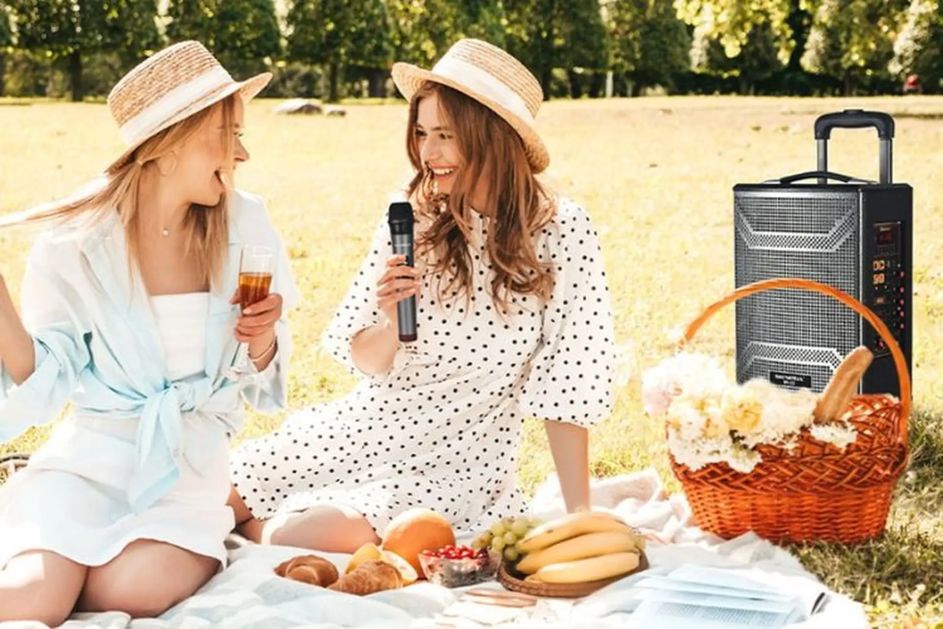 Review combo loa Bluetooth Karaoke Soundmax M22 + Mic không dây