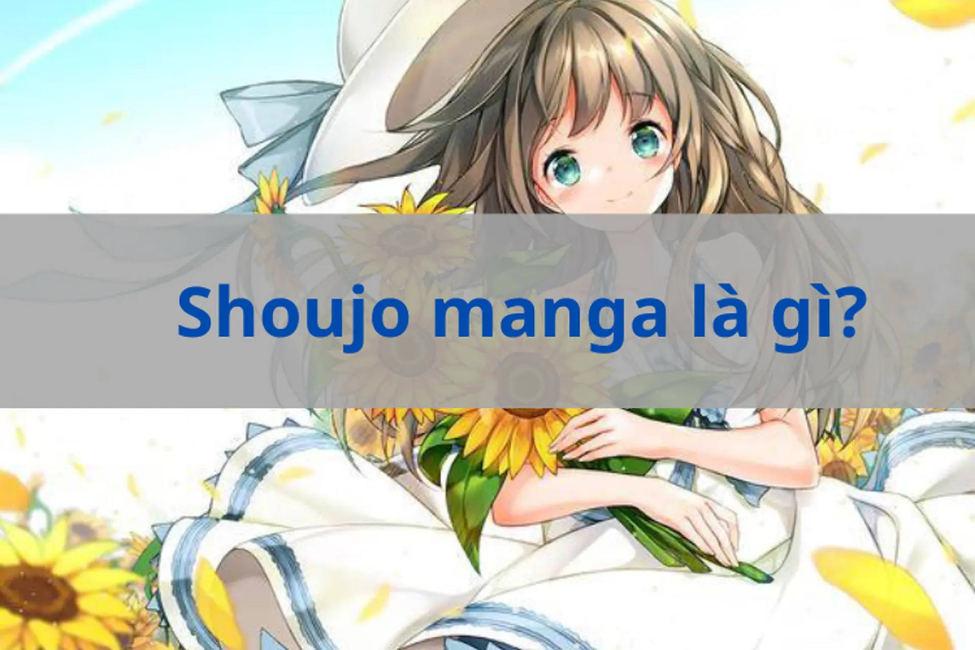 Shoujo manga là gì và top 3 truyện shoujo manga hay nên đọc