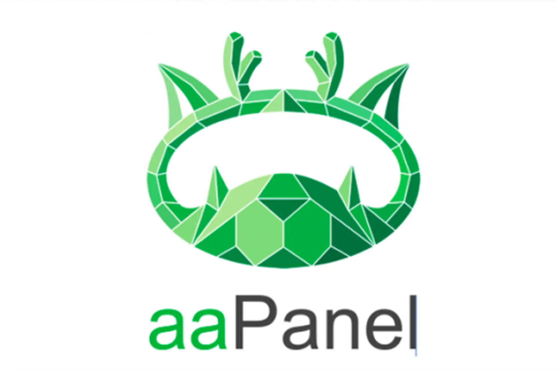 Giải thích aaPanel là gì, hướng dẫn cài đặt và cách sử dụng
