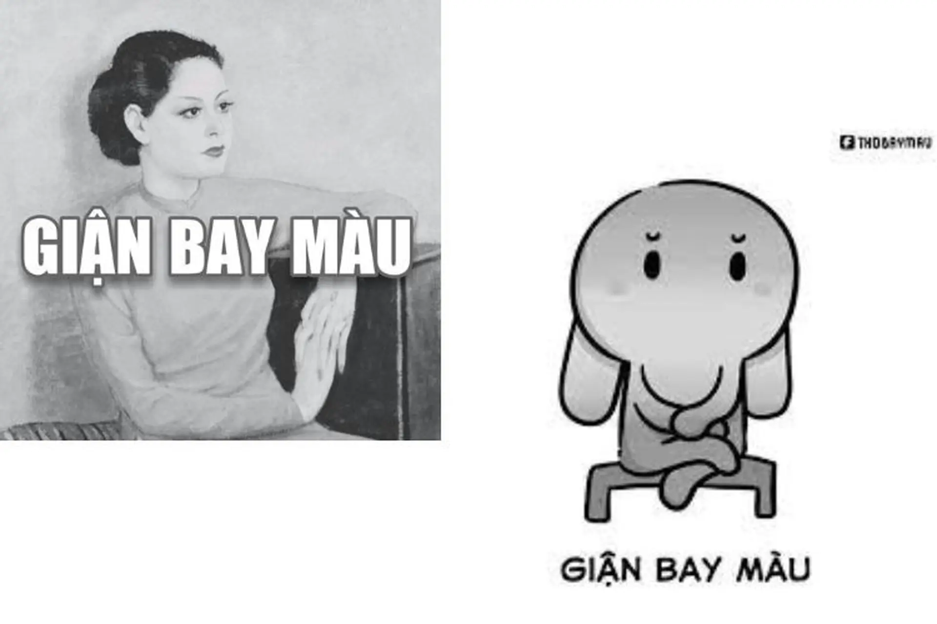 Tổng hợp meme bay màu, meme hài hước cực thú vị, lưu ngay!