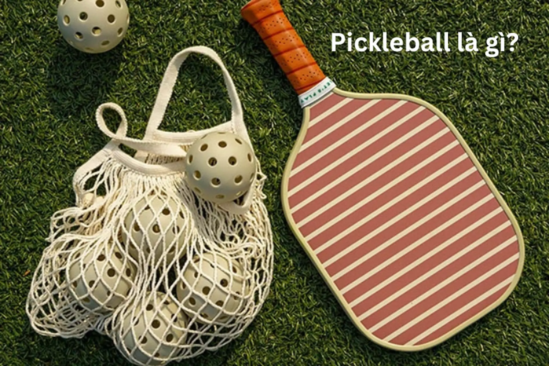 Pickleball là gì? Tìm hiểu luật chơi môn thể thao Pickleball