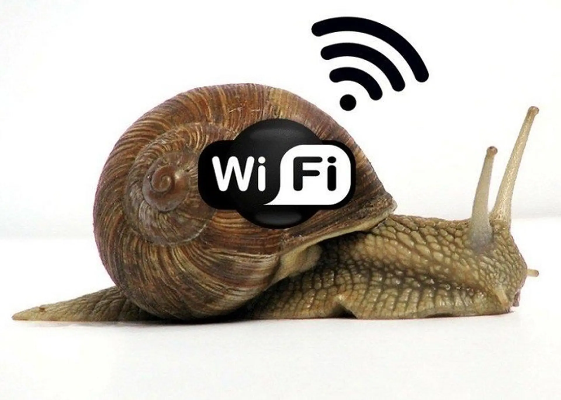 Sóng Wi-Fi mạnh nhưng vào mạng yếu: Nguyên nhân và cách xử lý
