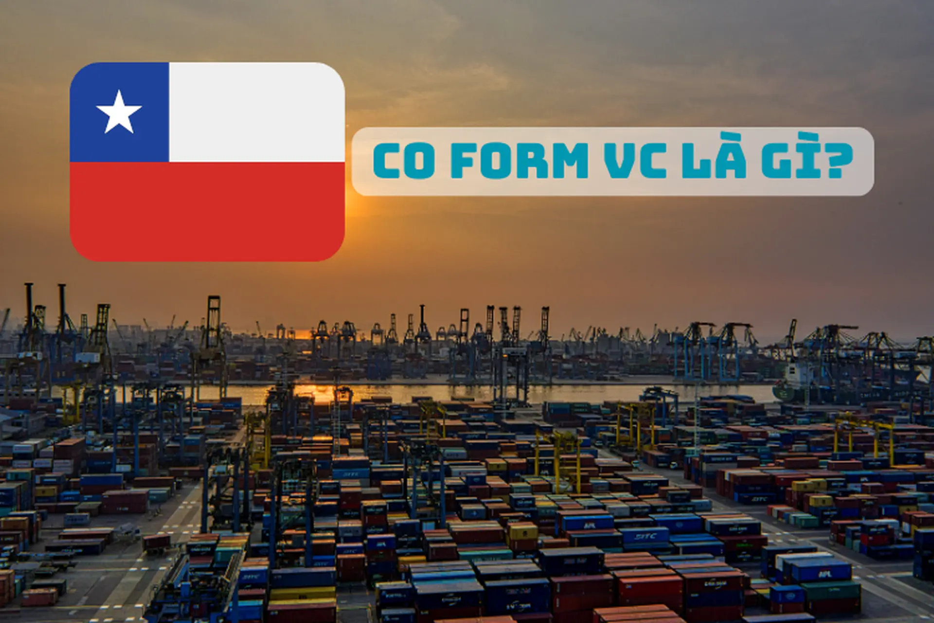 CO Form VC là gì? Những điều bạn cần biết về “giấy thông hành” xuất ...