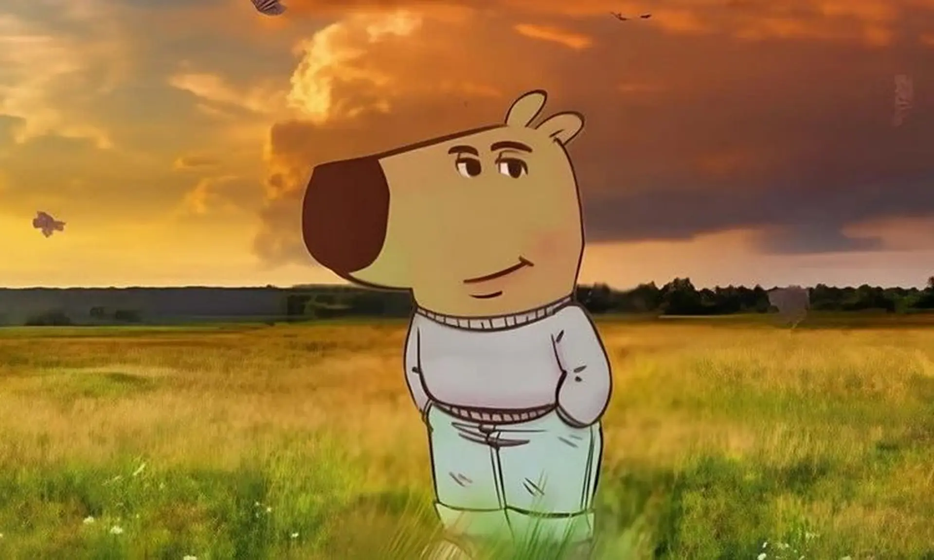 Chill guy là gì? Meme chill guy bắt nguồn từ đâu và mẹo đu trend đúng cách