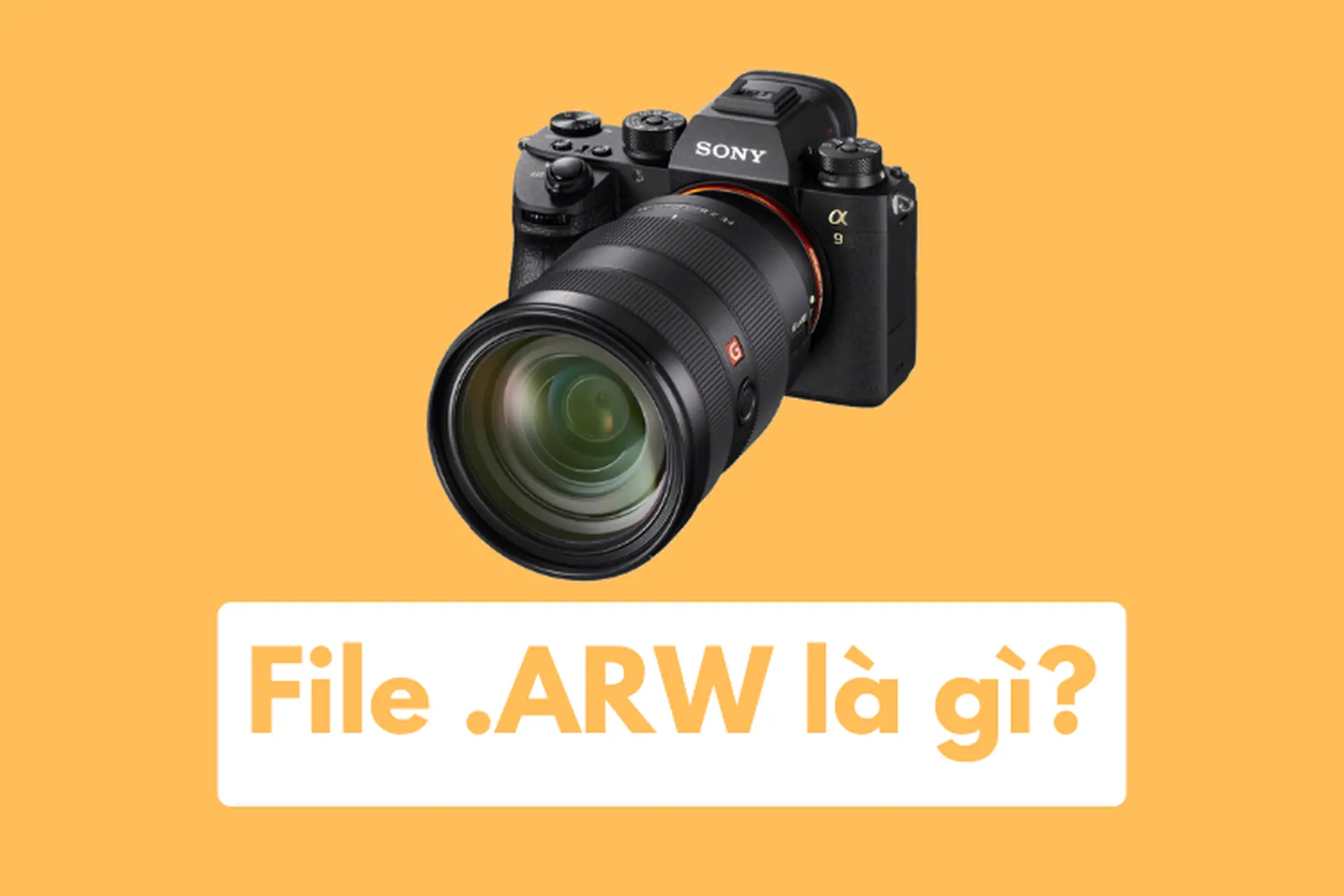 File ARW là gì? Tất tần tật về định dạng ảnh RAW của Sony