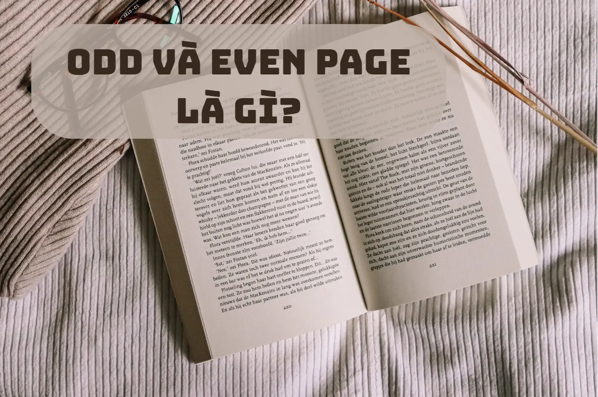 Odd và Even page là gì? Bí quyết trình bày tài liệu chuyên nghiệp