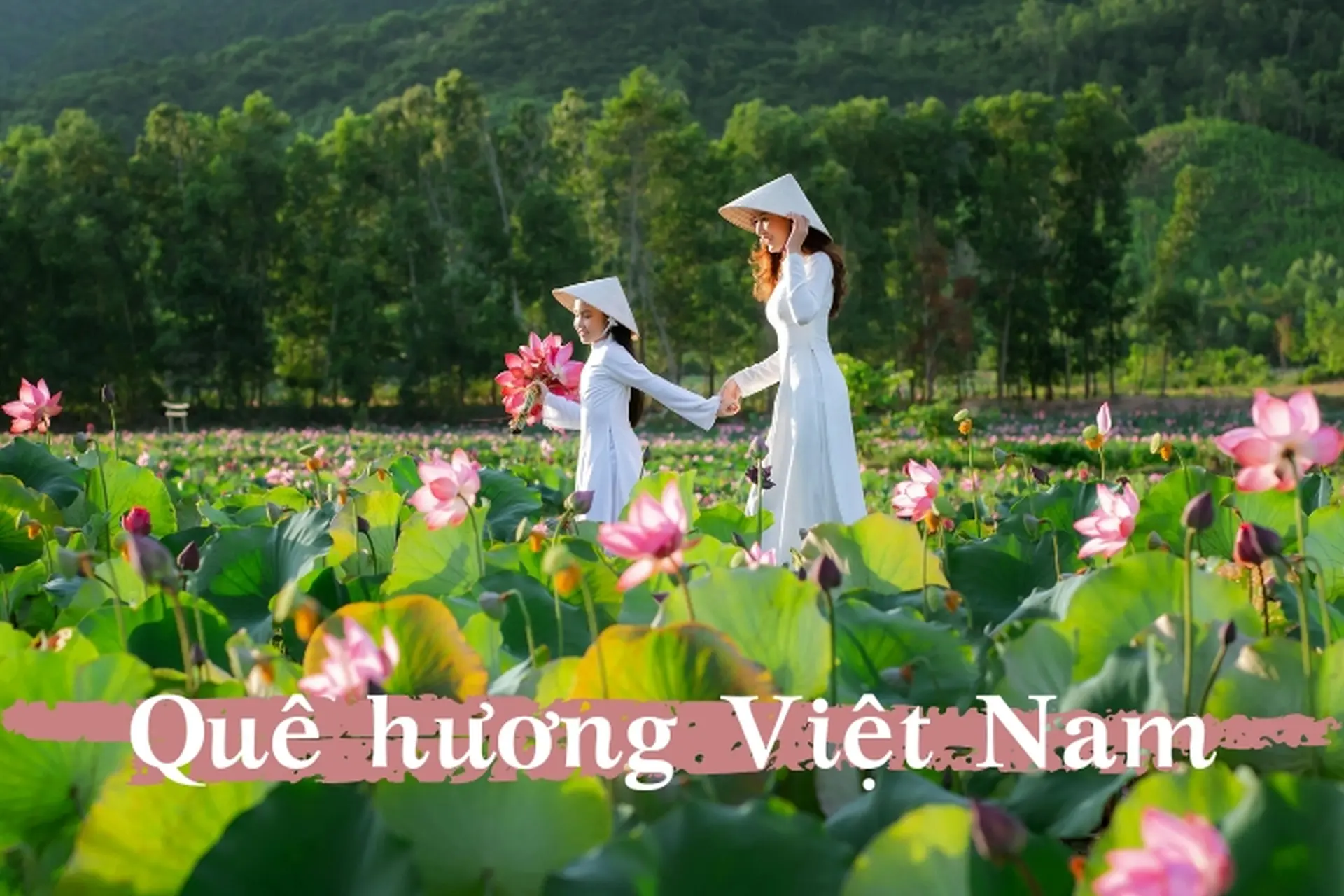 Tổng hợp 150+ hình ảnh quê hương Việt Nam đẹp, độc đáo nhất
