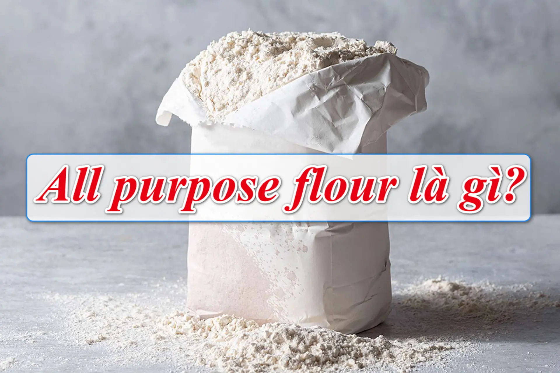 All purpose flour: Công dụng, cách bảo quản và mẹo dùng đúng chuẩn