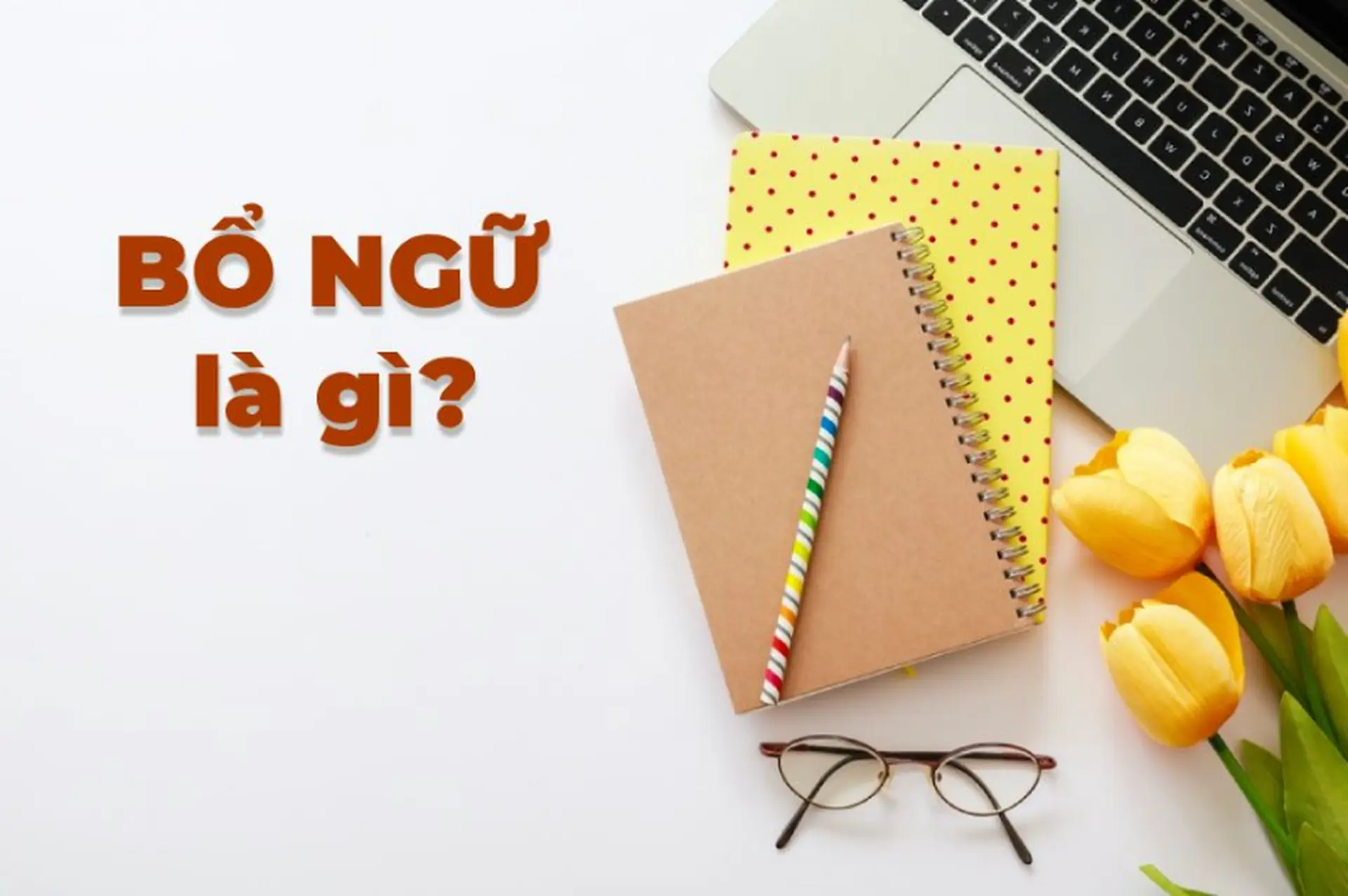 Bổ ngữ là gì? Khái niệm, phân loại và những ví dụ minh họa chi tiết