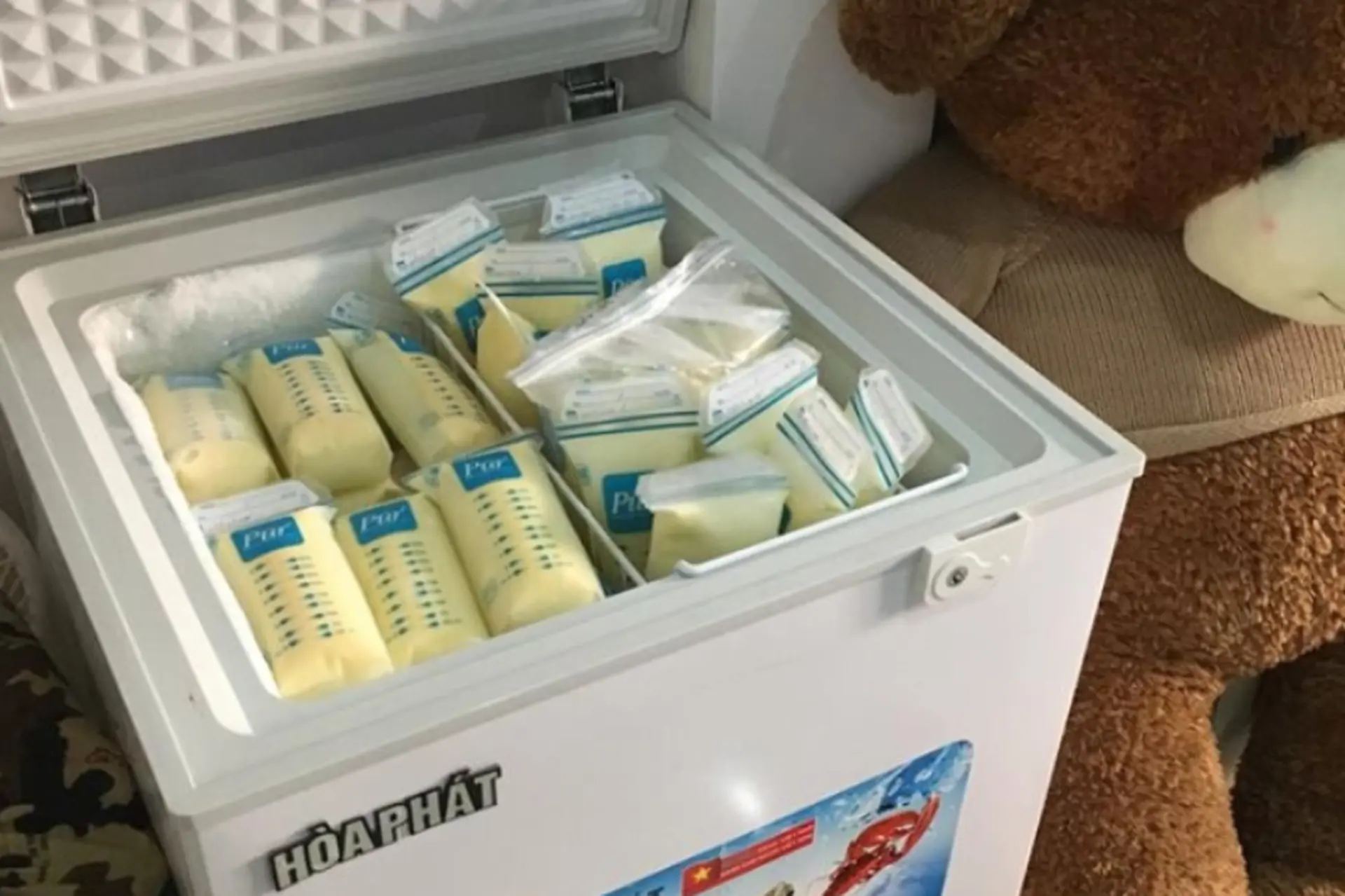 Cách trữ sữa bằng tủ đông an toàn và hiệu quả cho mẹ bỉm sữa