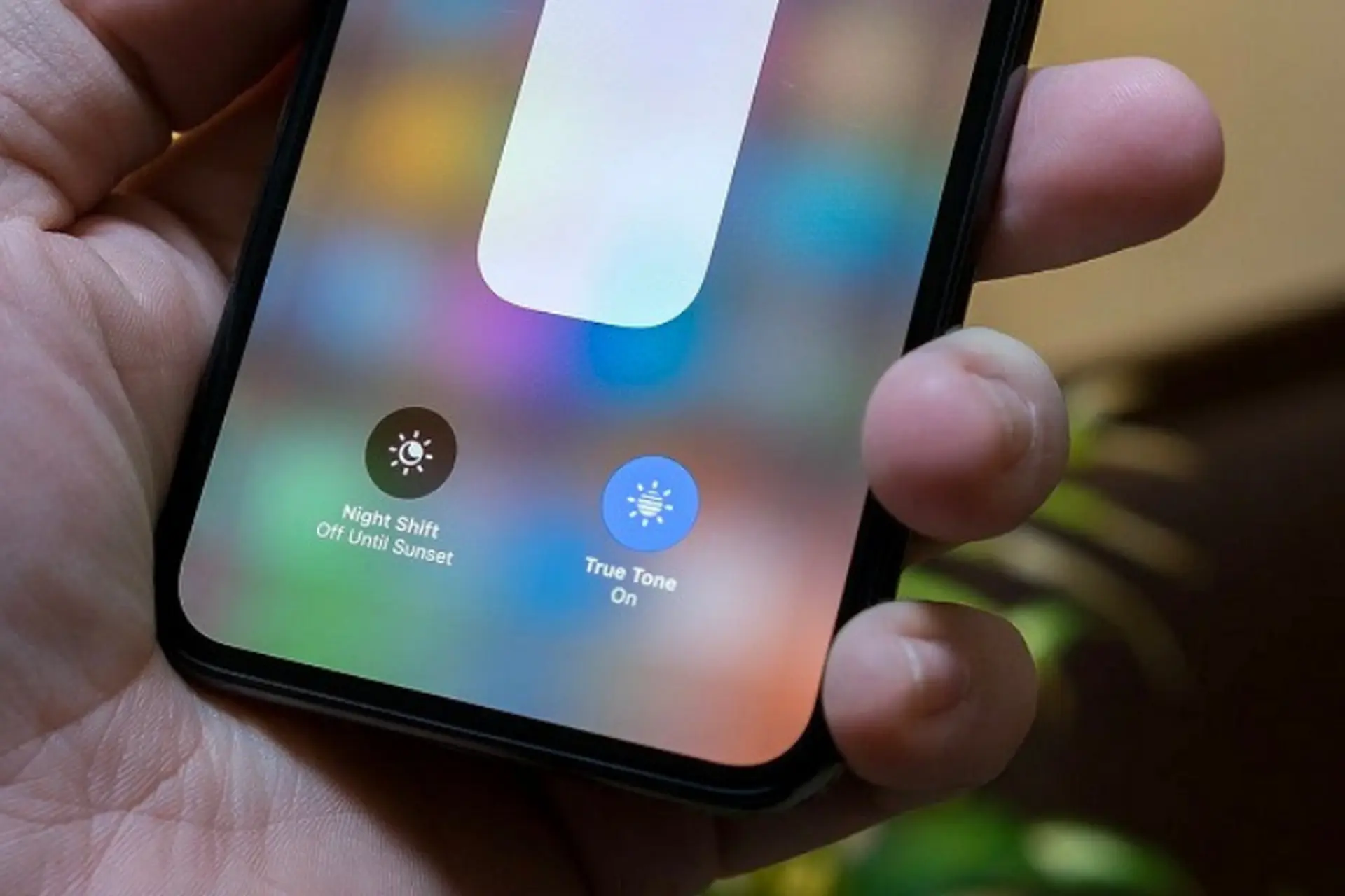 Có nên bật True Tone trên iPhone không? Giải đáp chi tiết