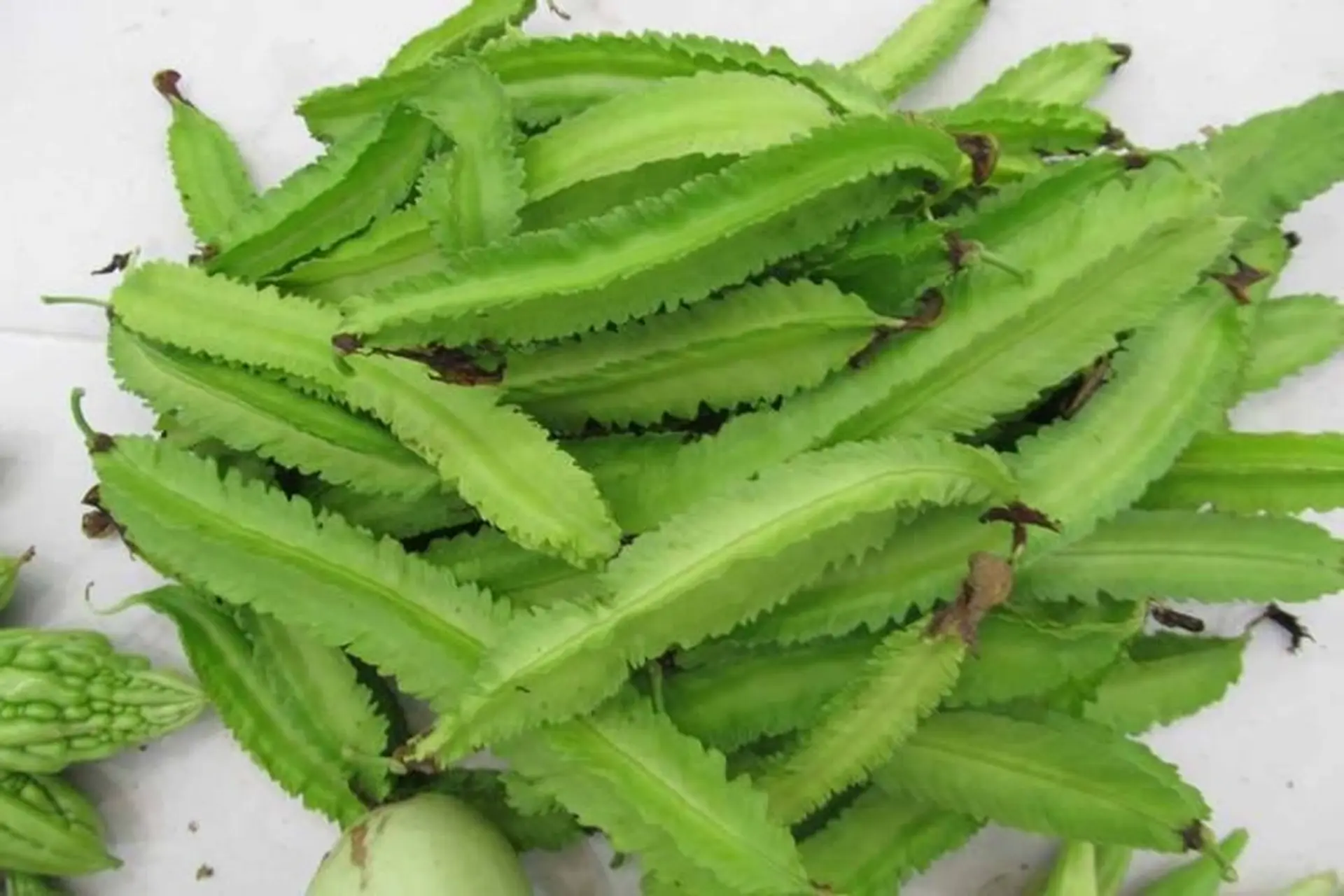 Đậu rồng: Giá trị dinh dưỡng, lợi ích sức khỏe và cách chế biến đậu rồng