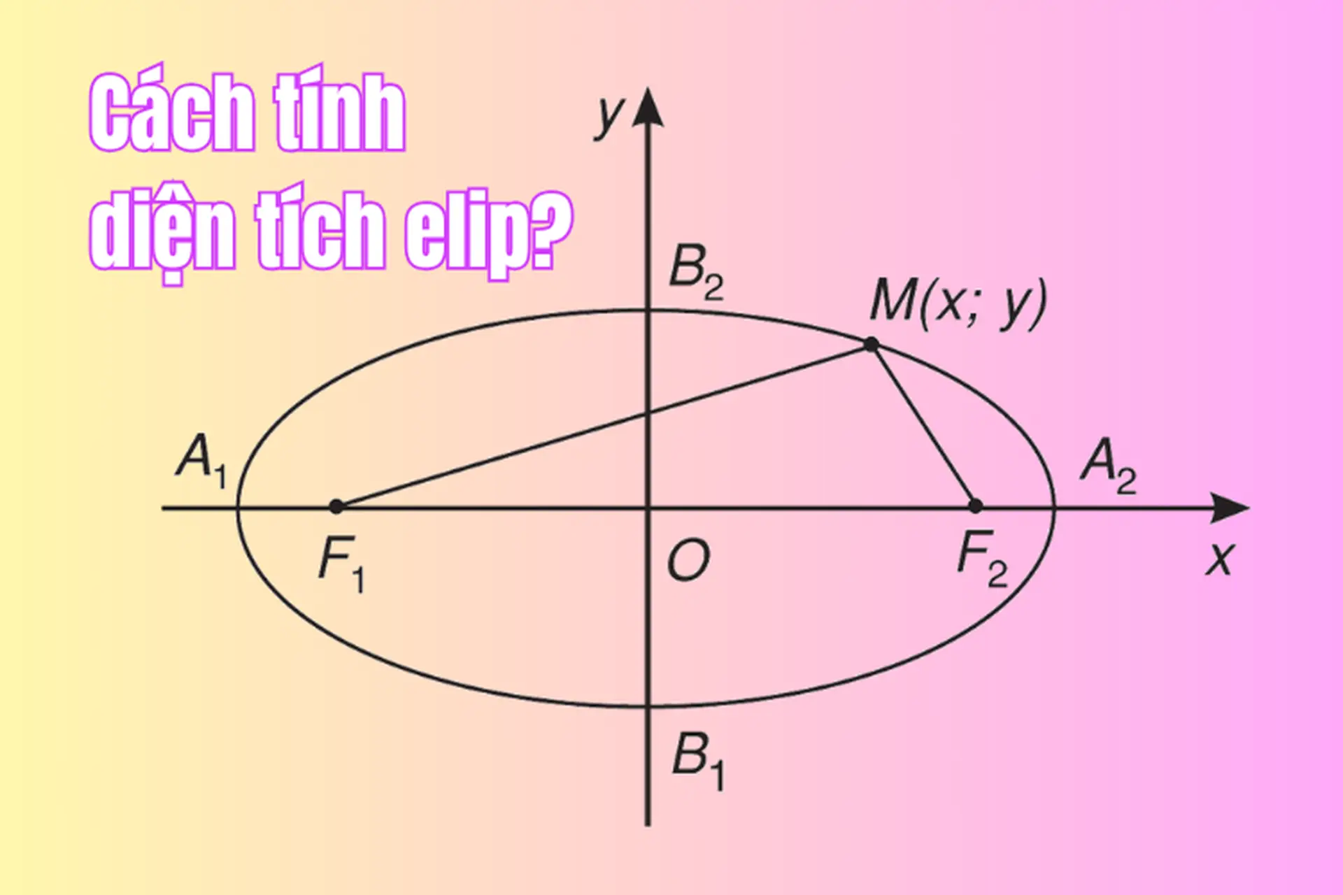 Diện tích elip: Trọn bộ công thức kết hợp bài tập thực hành hữu ích