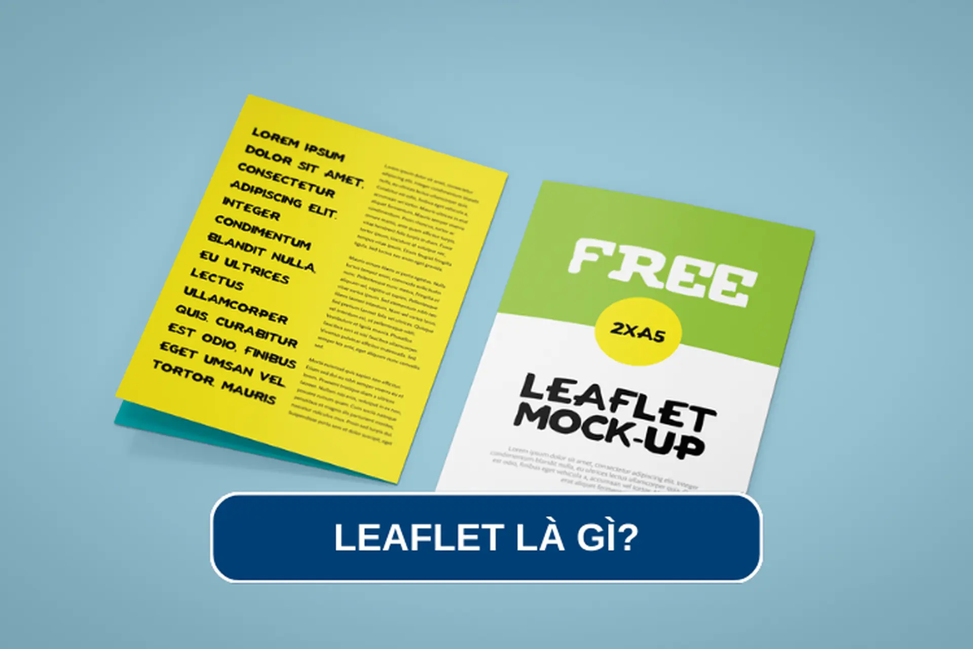 Leaflet là gì? Phân biệt Leaflet với các ấn phẩm quảng cáo khác