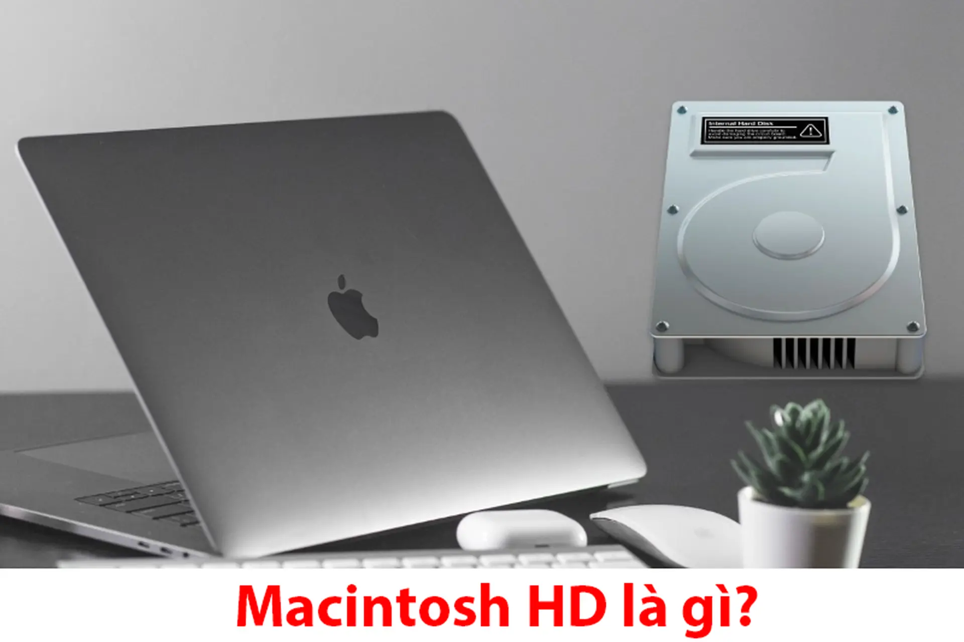 Macintosh HD là gì? Tìm hiểu ổ đĩa hệ thống trên MacBook và iMac